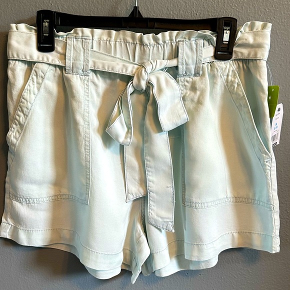 Time and Tru | Shorts | Nwt Time And Tru Light Blue Color Shorts Size ...